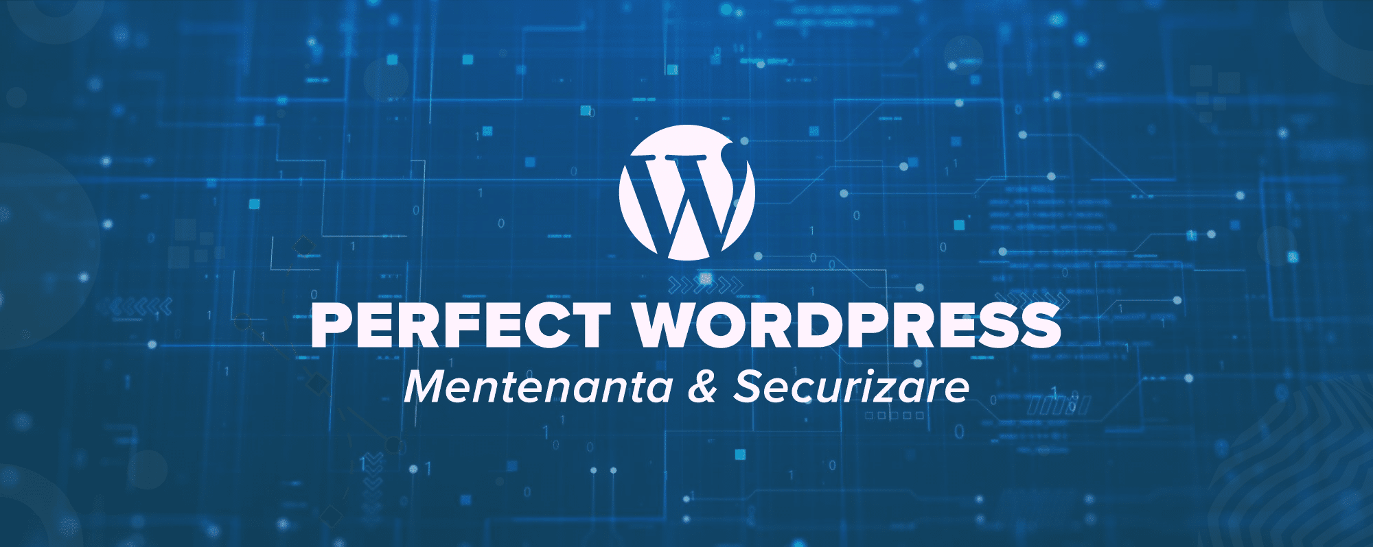 Mentenanta Wordpress si Administrare - Perfect Wordpress
